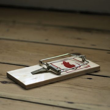 How To Set A Mouse Trap (Without Losing A Finger!) - Mouse Trap Guide