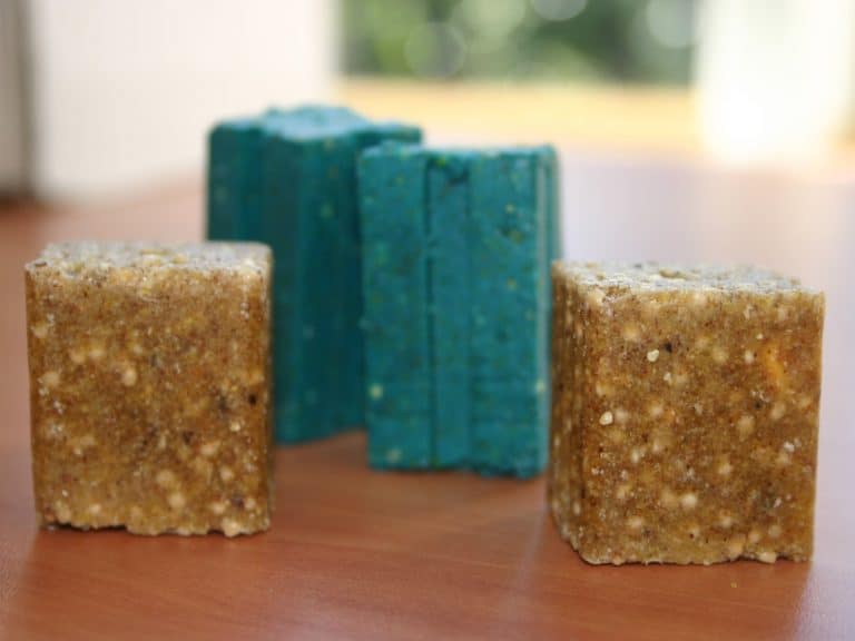 Best Mouse Poison: 5 Recommendations That Work! - Mouse Trap Guide