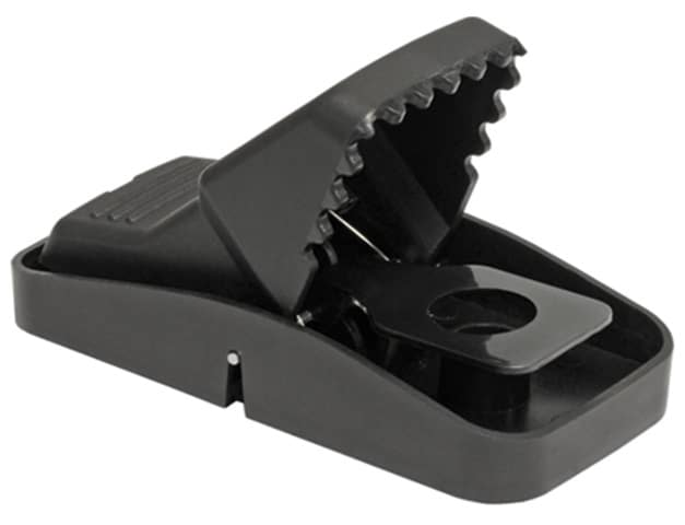 Best Mouse Trap [Our Top 10 Recommendations] - Mouse Trap Guide