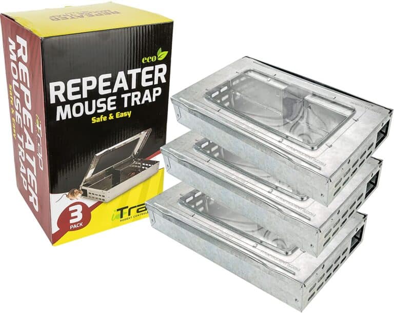 5 Best Ways to Catch Multiple Mice - Mouse Trap Guide